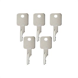 Ignition Key D250 5PCS for Case IH